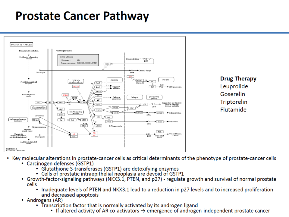 SunCoast Pathology | Prostate Cancer Testing | Melbourne, Florida